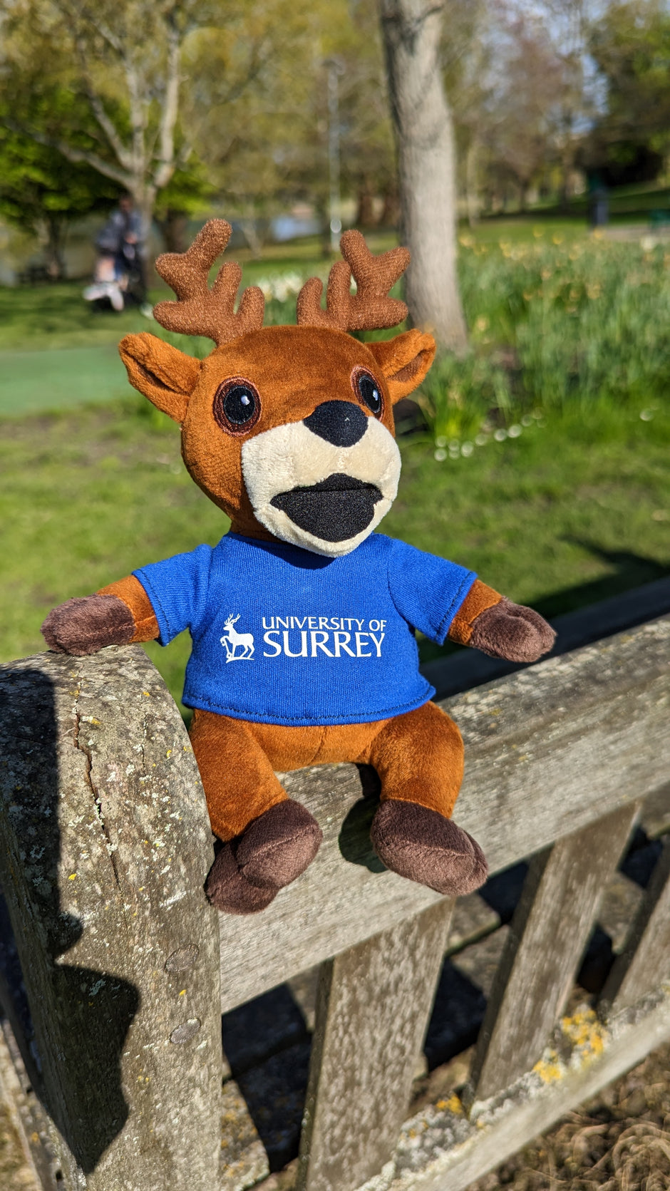 Souvenirs & Gifts – SurreyStore